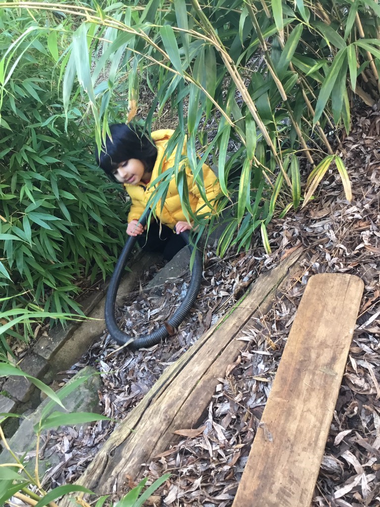 Owls (Speedwell) - Little Hayes and Speedwell Nursery Schools