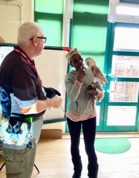 Owls Visit Speedwell Nursery School - Little Hayes and Speedwell ...