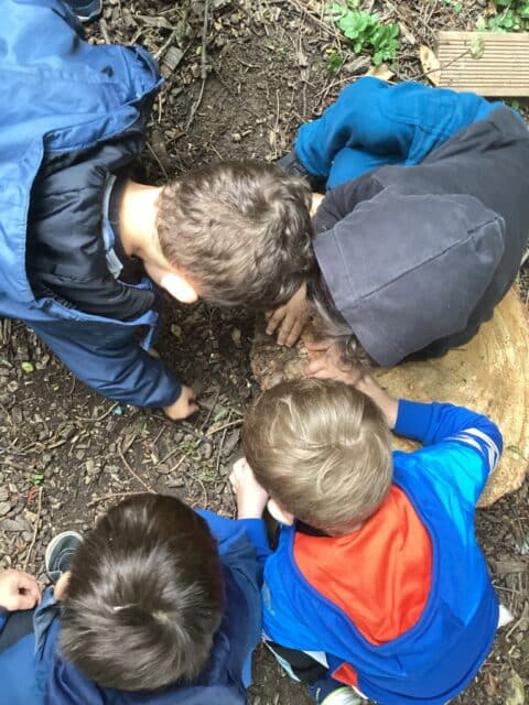 Speedwell Children Show Teamwork - Little Hayes and Speedwell Nursery ...